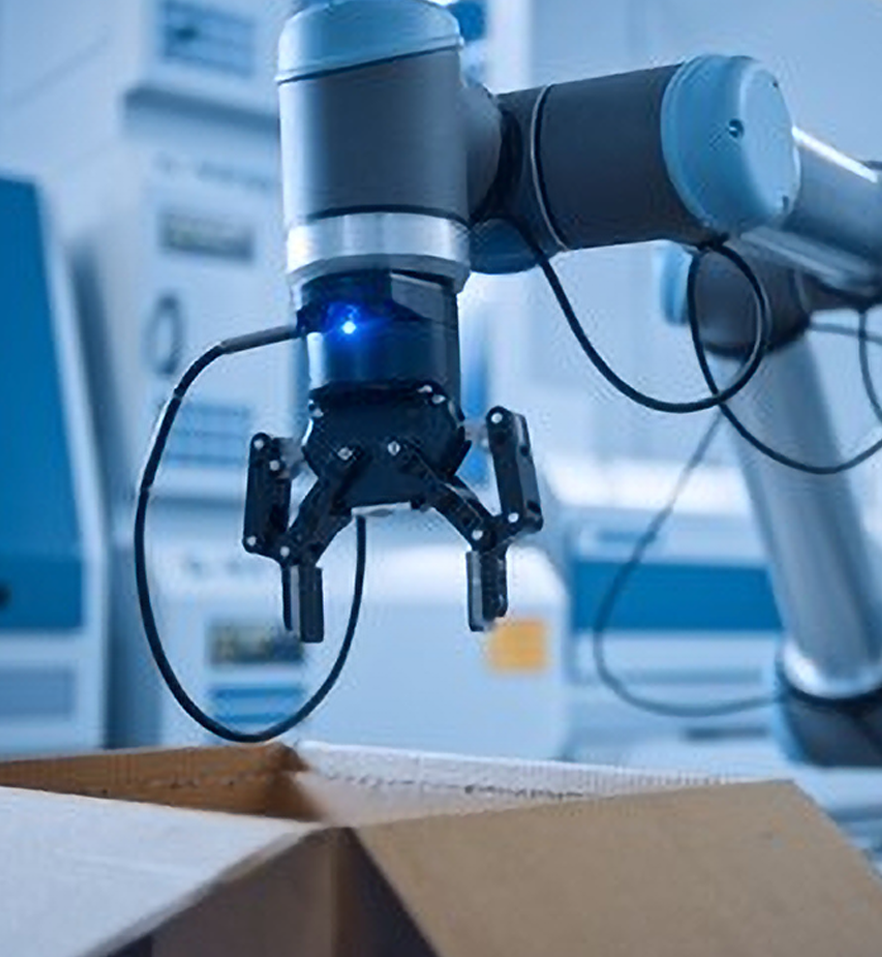 Our Products | MCS Group | Garuda Garnet